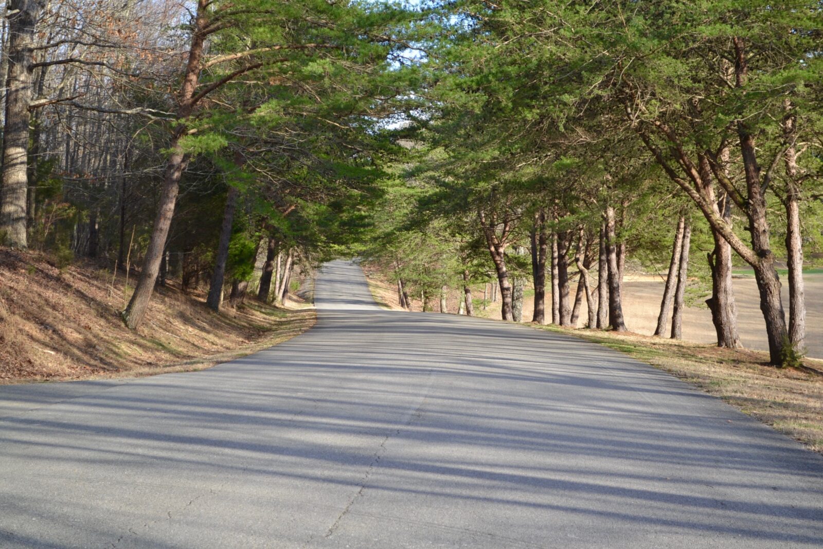 Barren River Lake State Resort Park – SoKy Film Commission